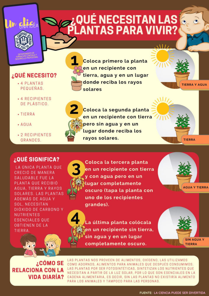 ¿Qué necesitan las plantas para vivir? – INSTITUTO DE EDUCACIÓN ...